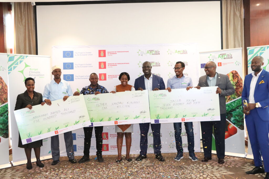 Transforming Coconut and Pineapple Farming in Kilifi County – Agribiz ...